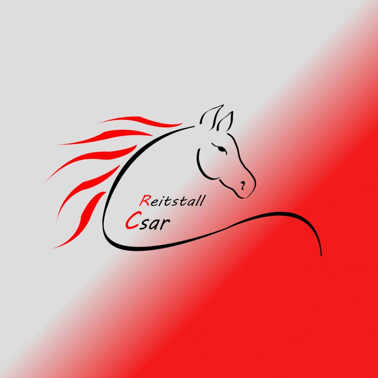 Reitstall Csar | CITIES