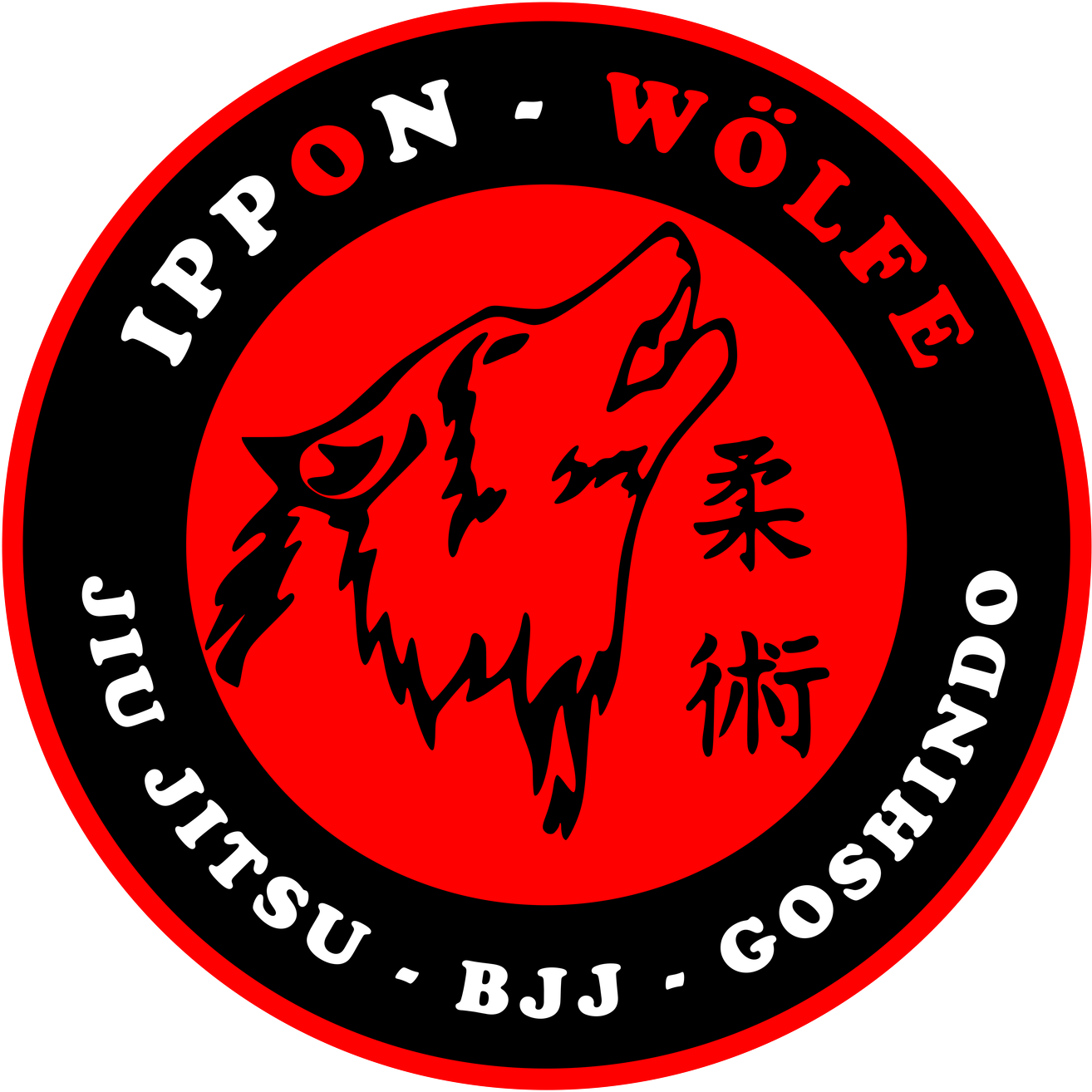 Jiu Jitsu - IPPON Verein für Bewegung und Bildung | CITIES