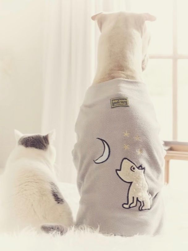 Beitrag von Tierarztpraxis - Schwadorf Dr. Michael Nathaniel ...